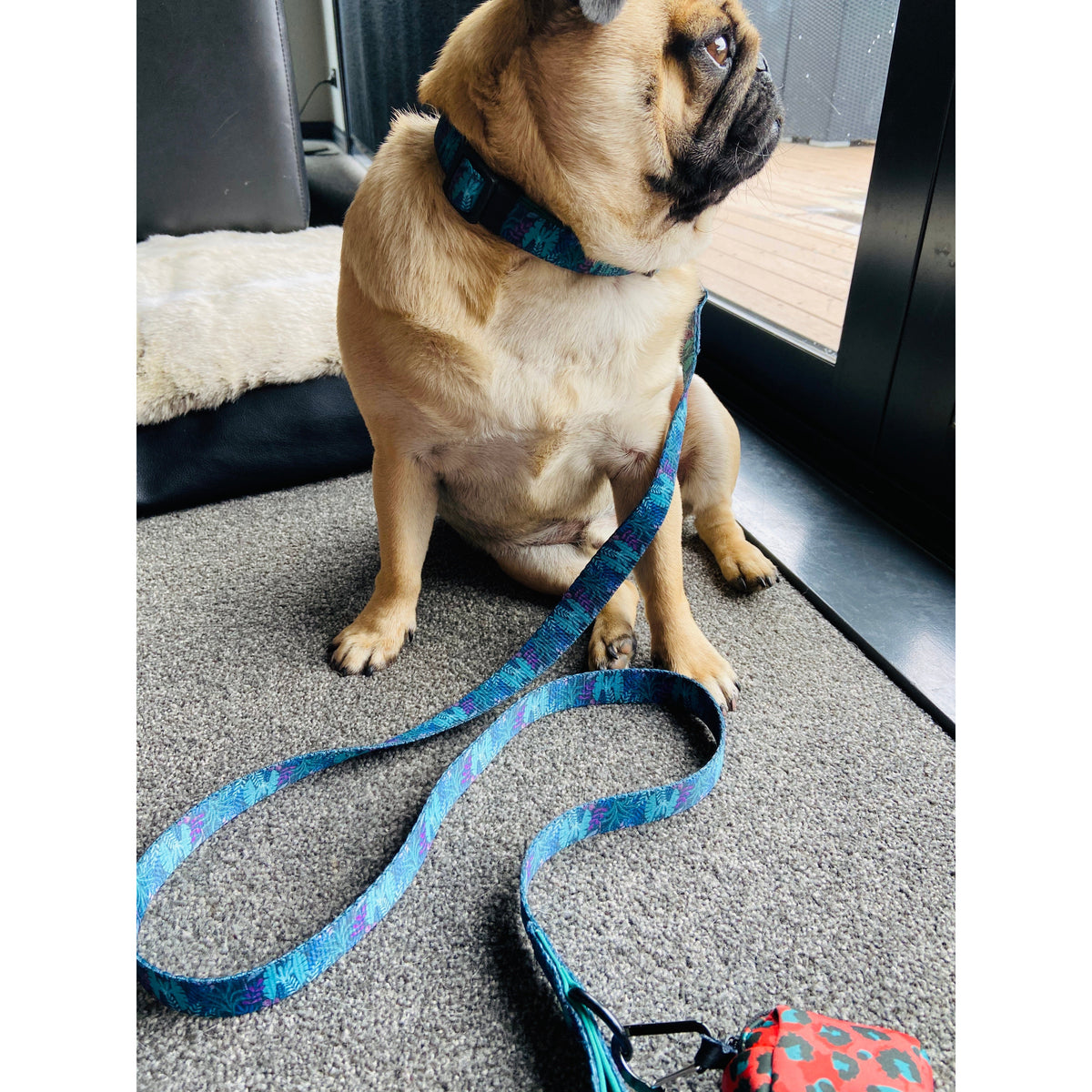 Boss + Boo - Secret Garden Lead – Dream Dog Designs