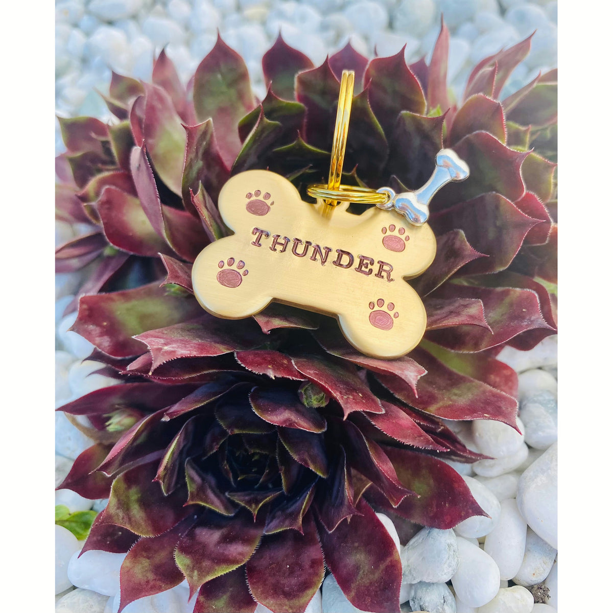 Bone Dream Tags - Bespoke Handcrafted Dog Tags – Dream Dog Designs